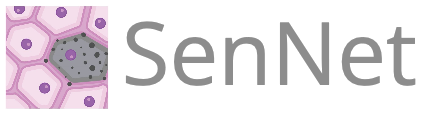 Senescence Network (SenNet)